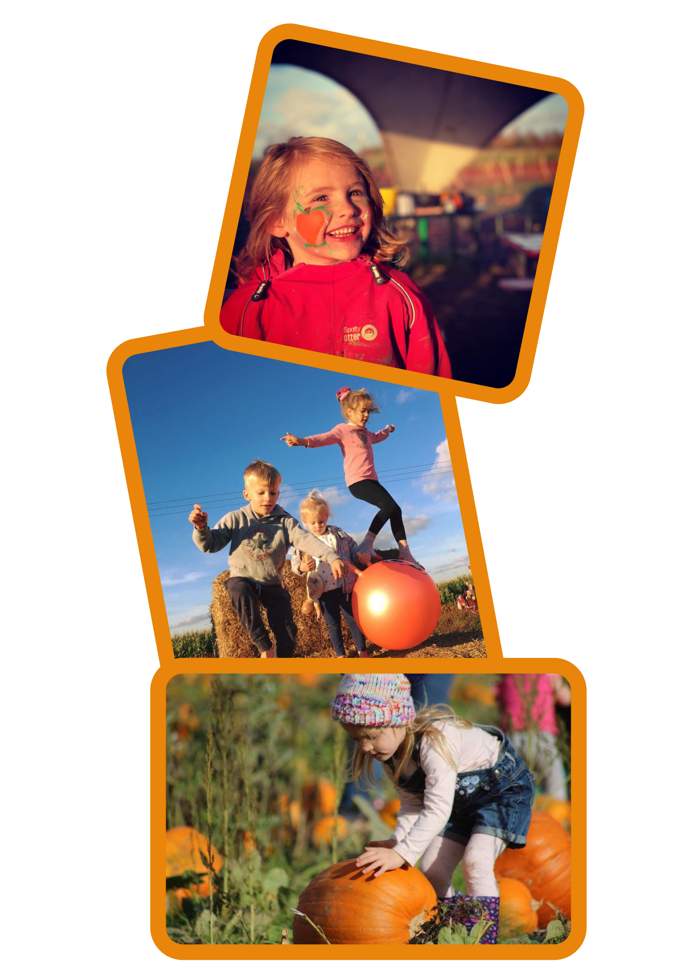 Bell's Pumpkin Patch – The largest Pumpkin Patch in the East of England