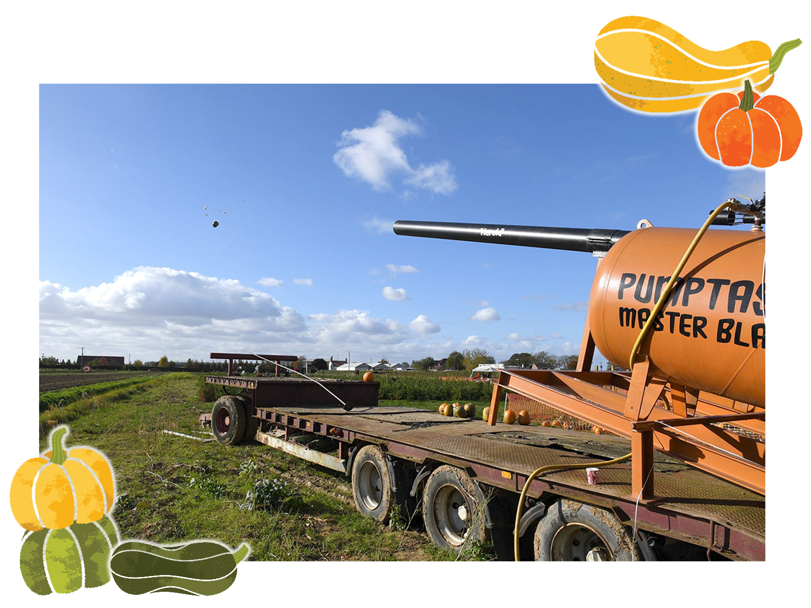 What’s On – Bell's Pumpkin Patch