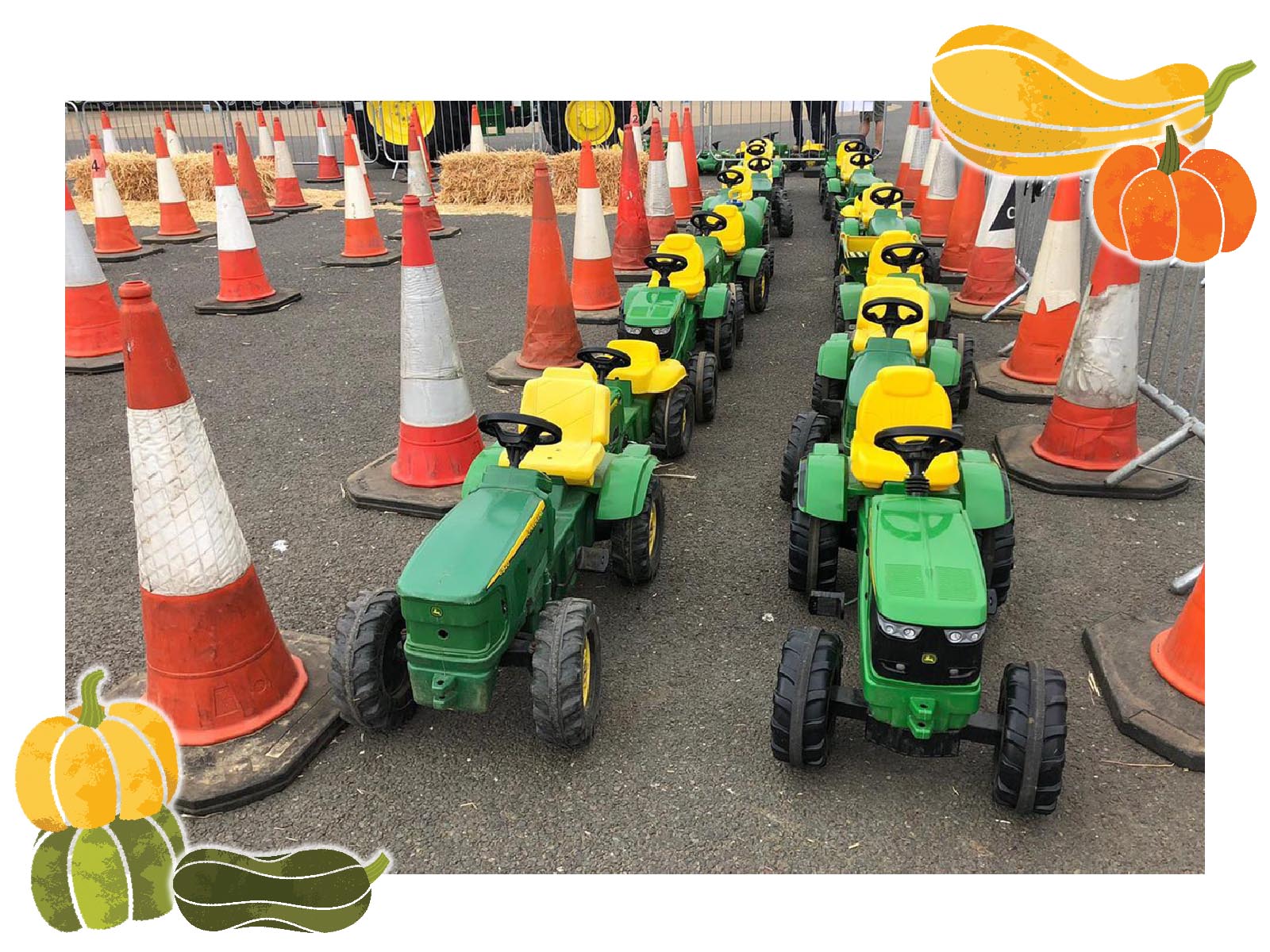 What’s On – Bell's Pumpkin Patch