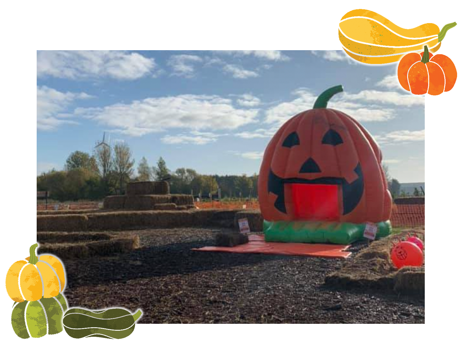 What’s On – Bell's Pumpkin Patch