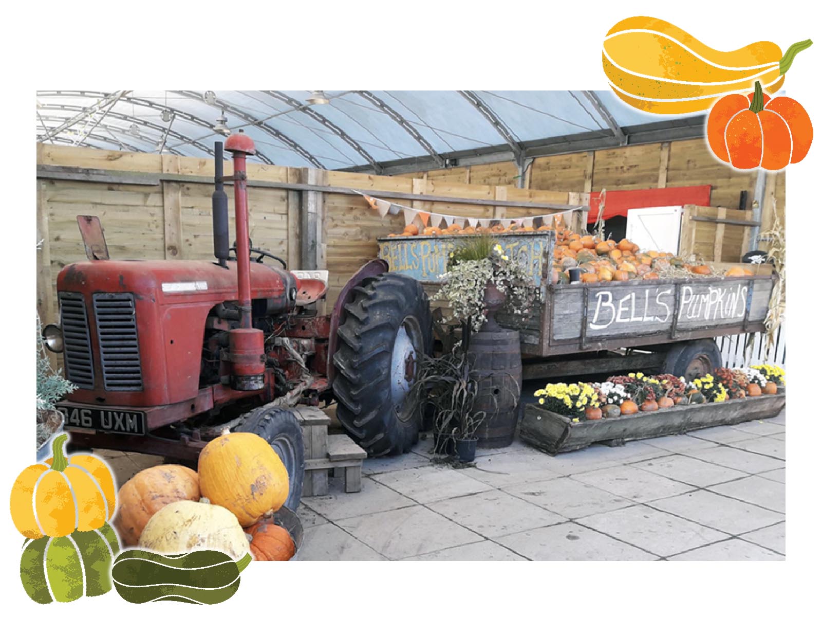 What’s On – Bell's Pumpkin Patch