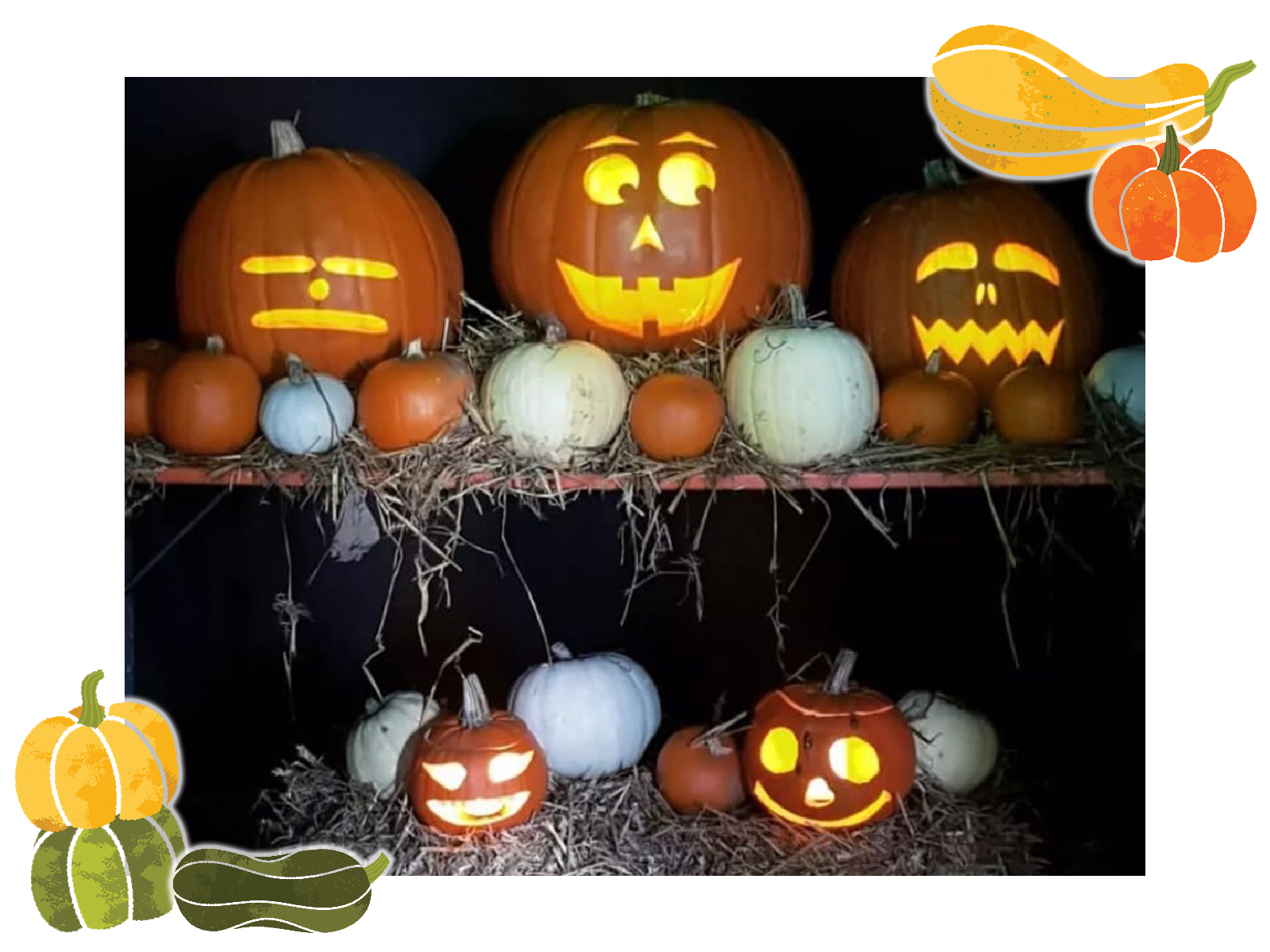 What’s On – Bell's Pumpkin Patch