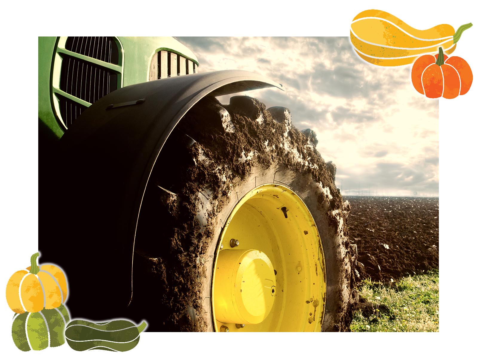 What’s On – Bell's Pumpkin Patch
