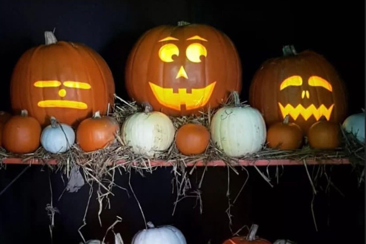 What’s On – Bell's