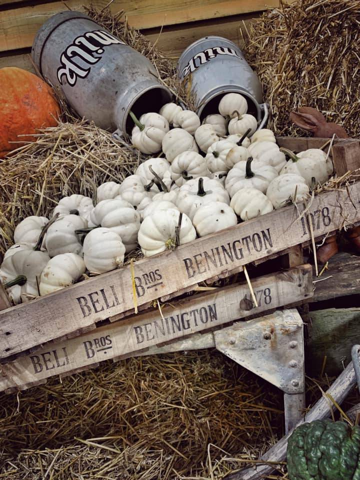 Bell's – PumpkinPatch